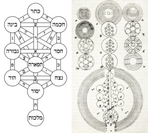 tree of life | Jew of the Week